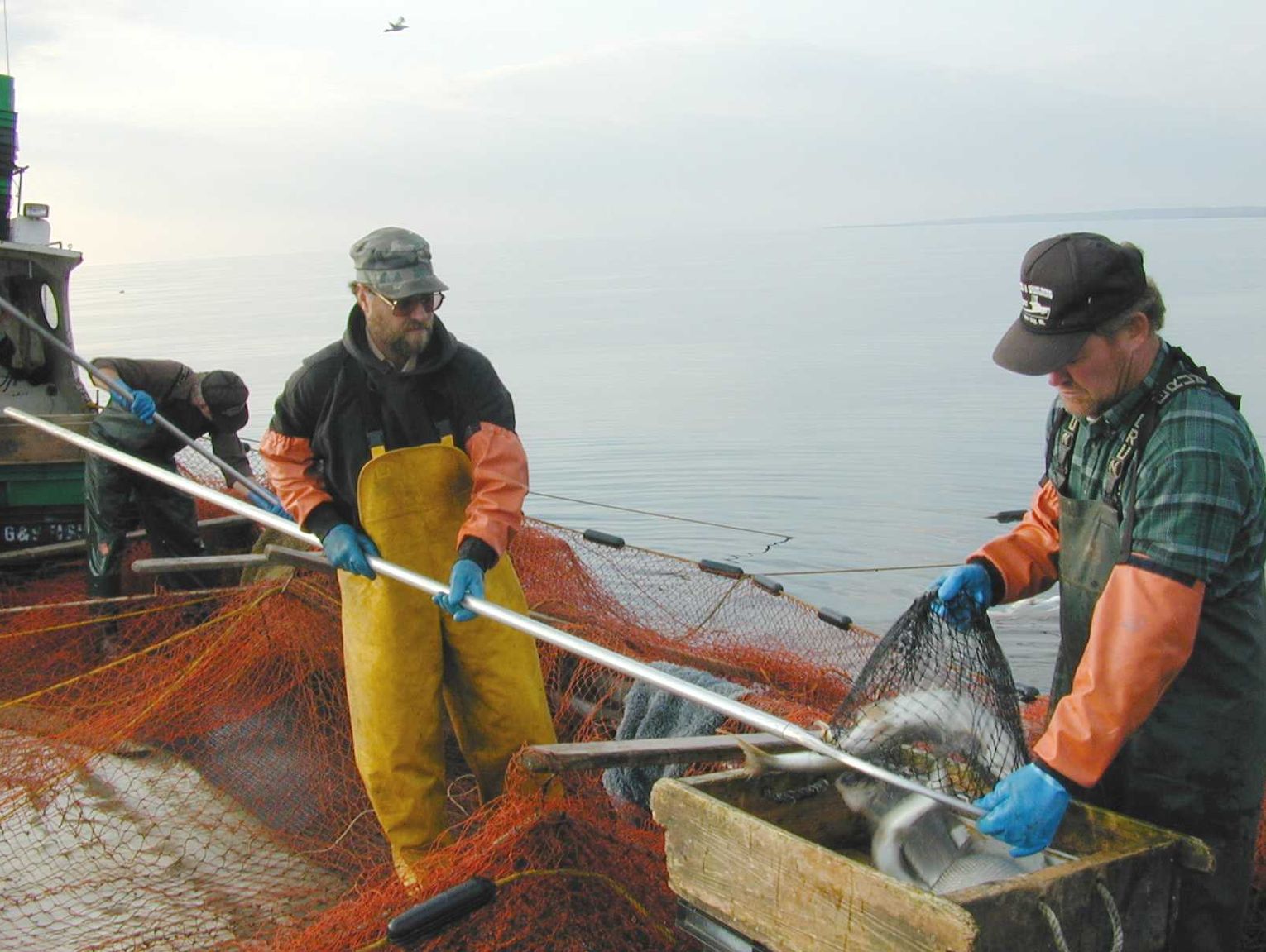 FISHING AND CRUISING THE STRAITS AREA